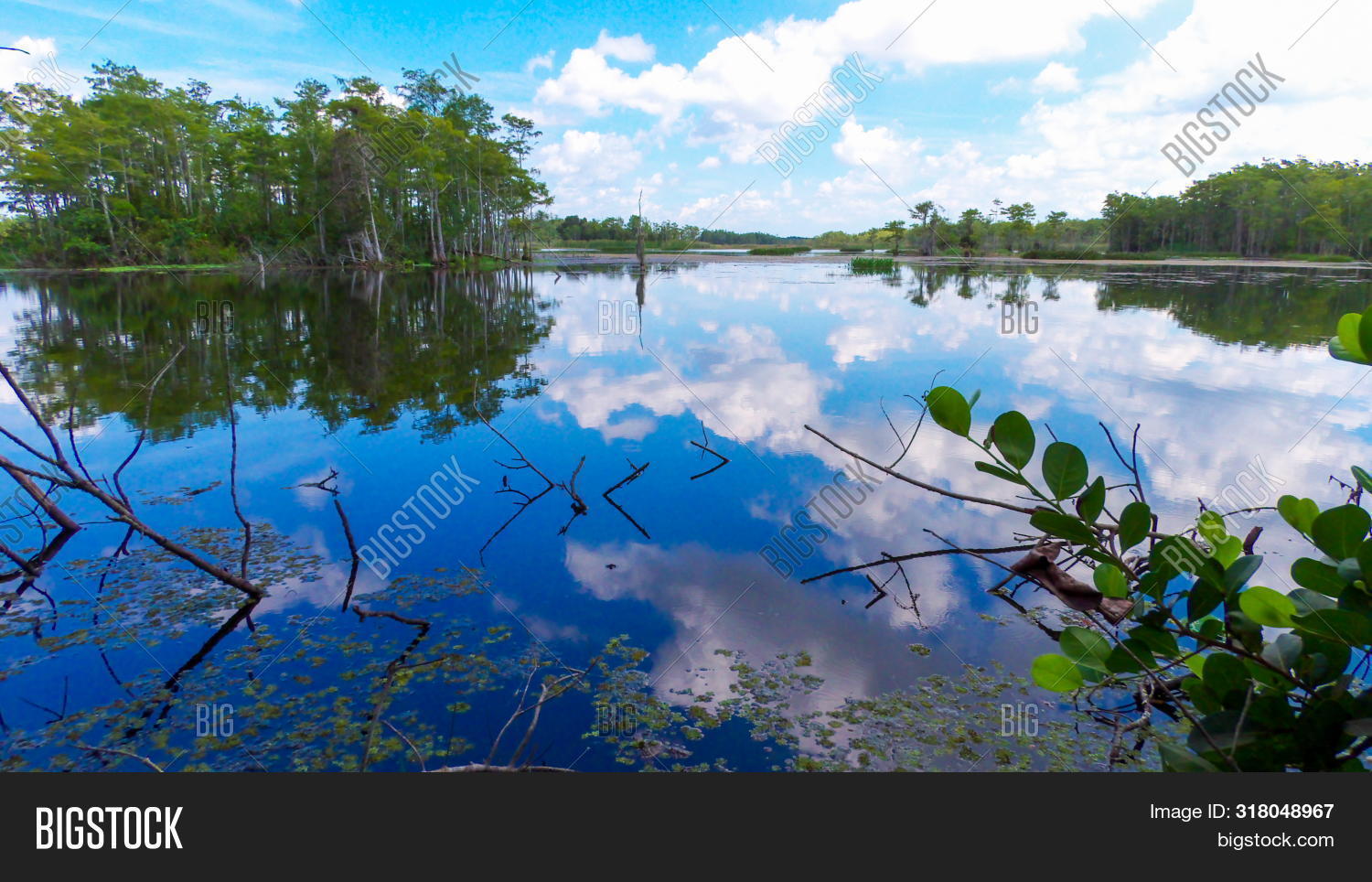 On Shore Large Marsh Image & Photo (Free Trial) | Bigstock