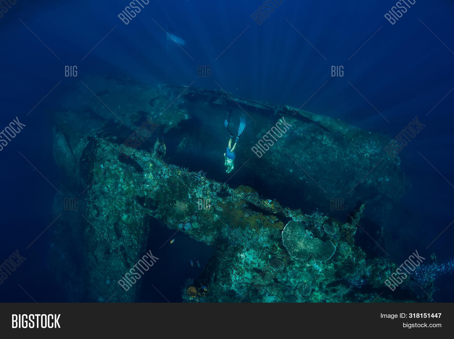 Freediver Man Dive Image & Photo (Free Trial) | Bigstock