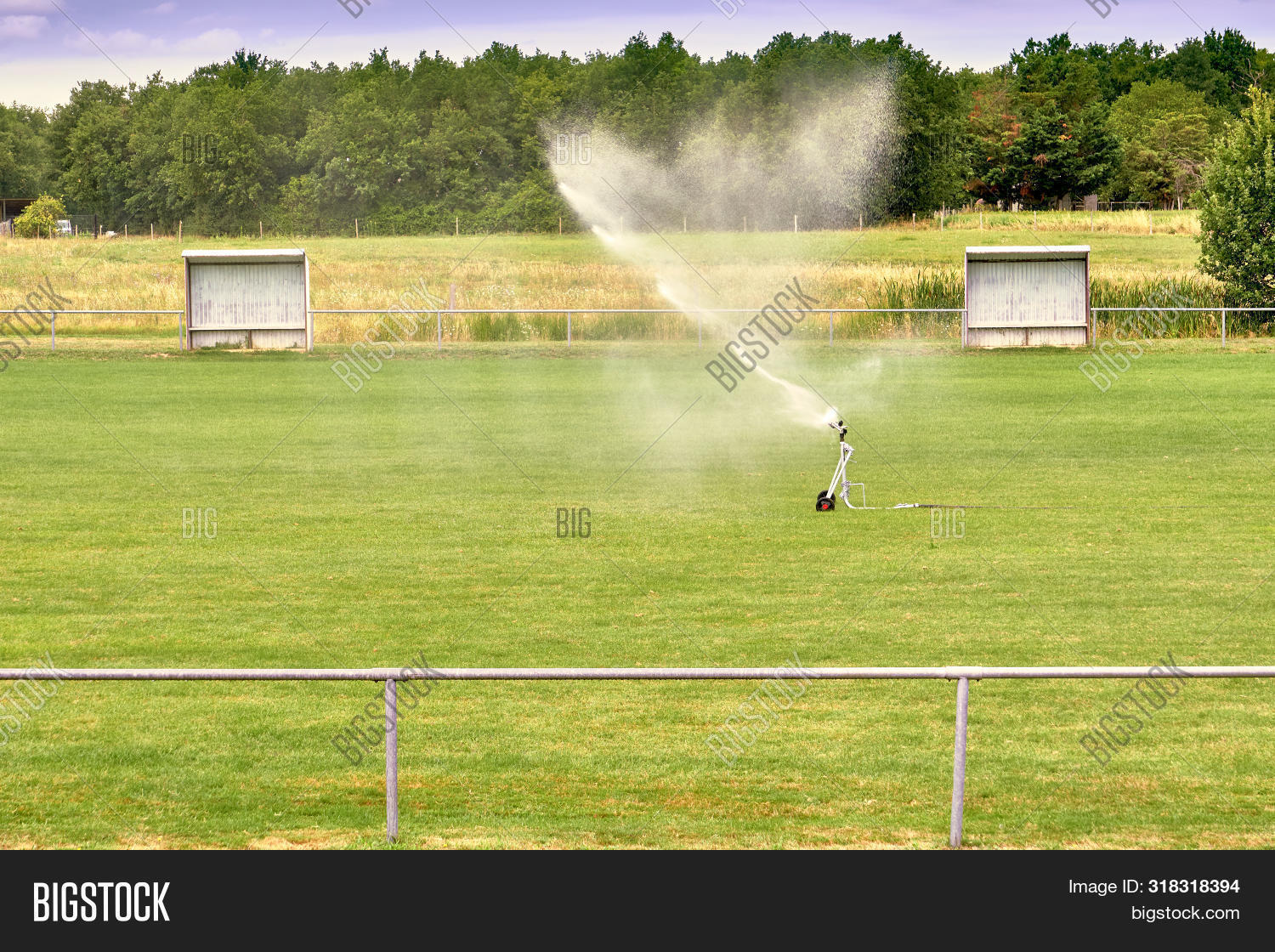 Sprinkler Watering Image & Photo (Free Trial) | Bigstock