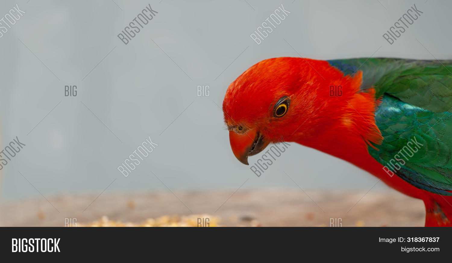 Brightly Colored Red Image & Photo (Free Trial) | Bigstock
