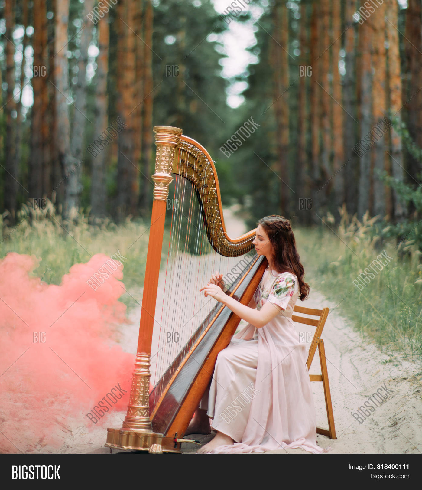 Woman Harpist Sits Image & Photo (Free Trial) | Bigstock