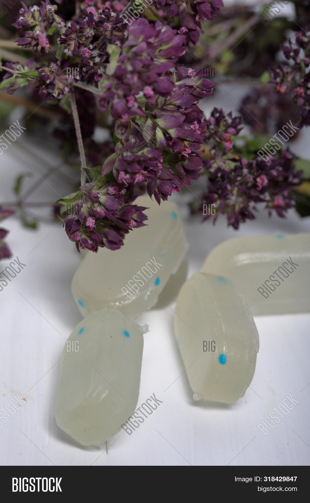 Peppermint Candies Image & Photo (Free Trial) | Bigstock