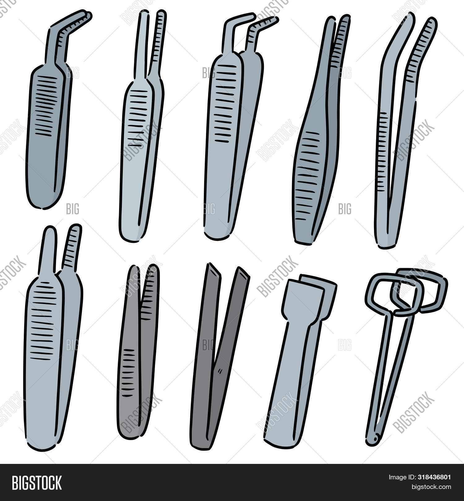 Vector Set Forceps Vector & Photo (Free Trial) | Bigstock