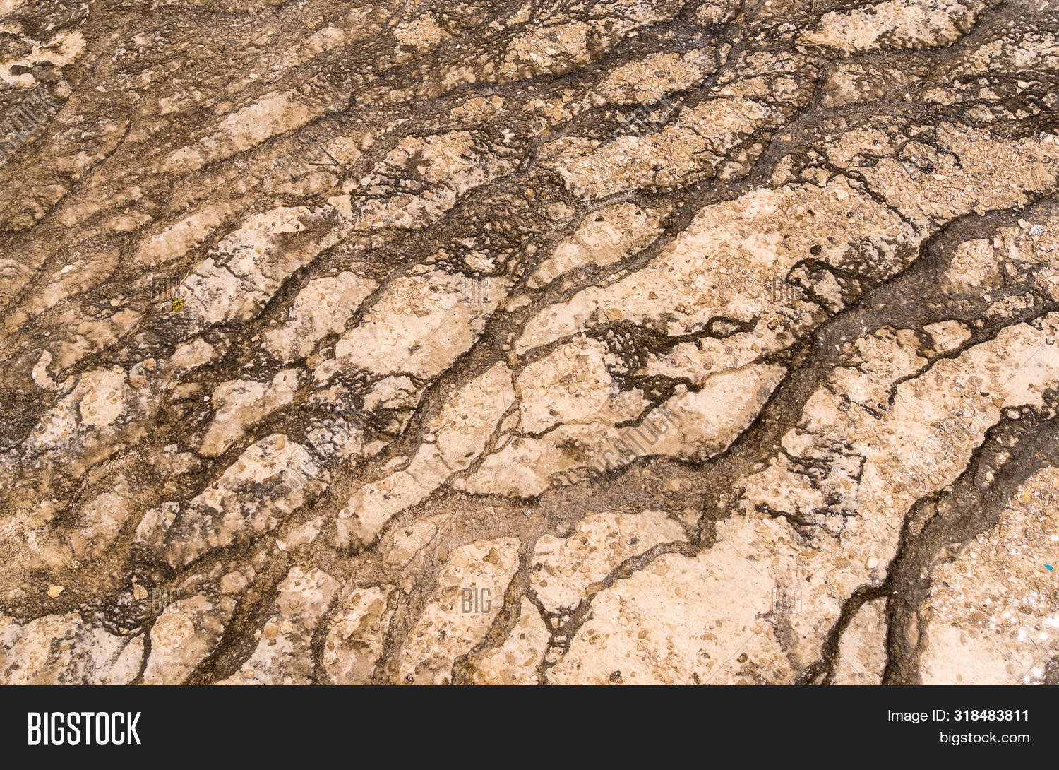 Nice Texture Image & Photo (Free Trial) | Bigstock