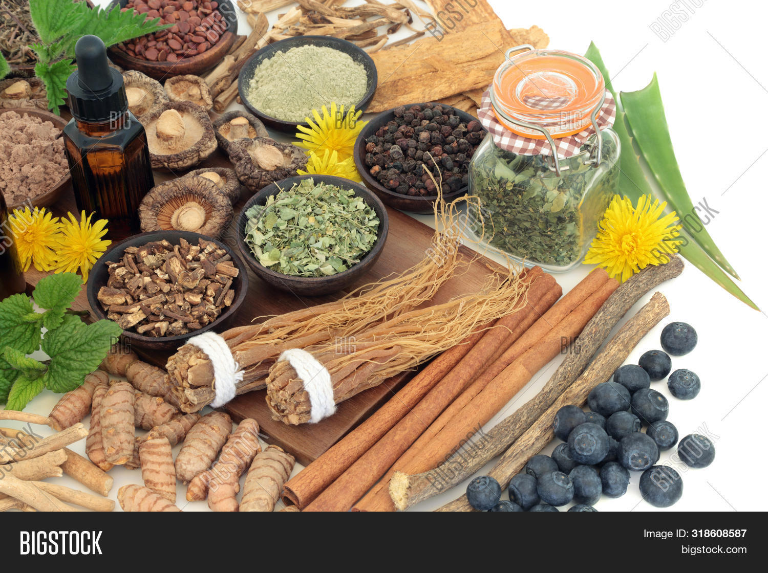 Adaptogen Food Herbs, Image & Photo (Free Trial) | Bigstock