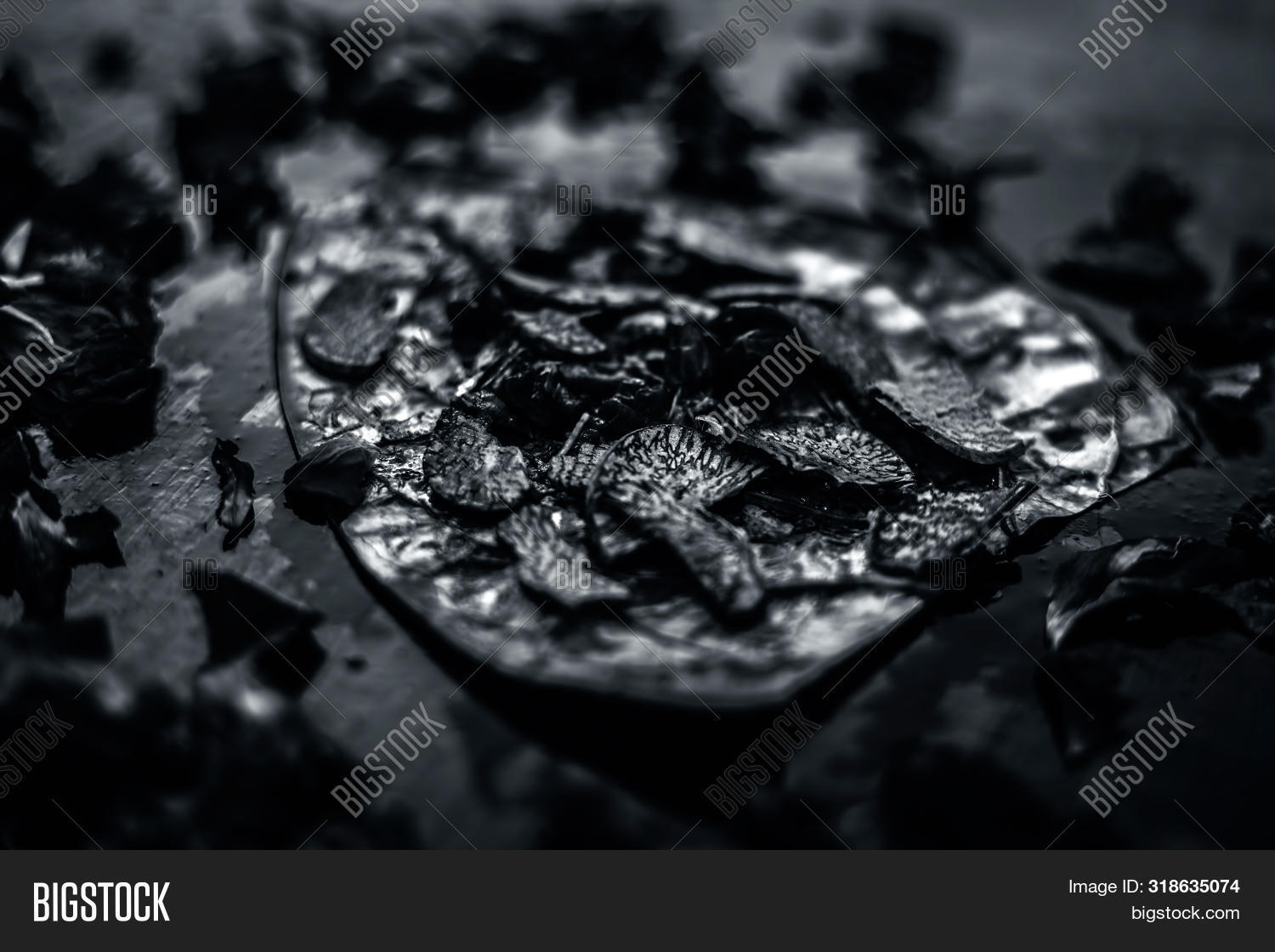 Close Famous Indian Image & Photo (Free Trial) | Bigstock