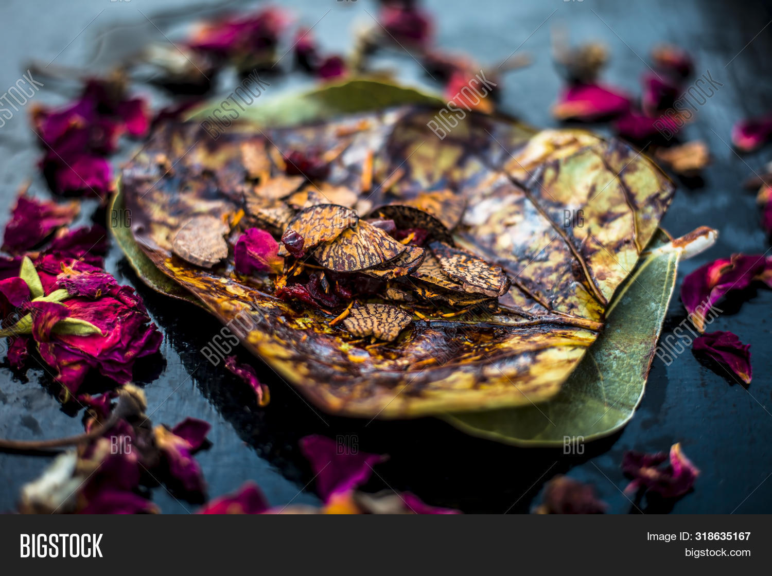 Close Famous Indian Image & Photo (Free Trial) | Bigstock