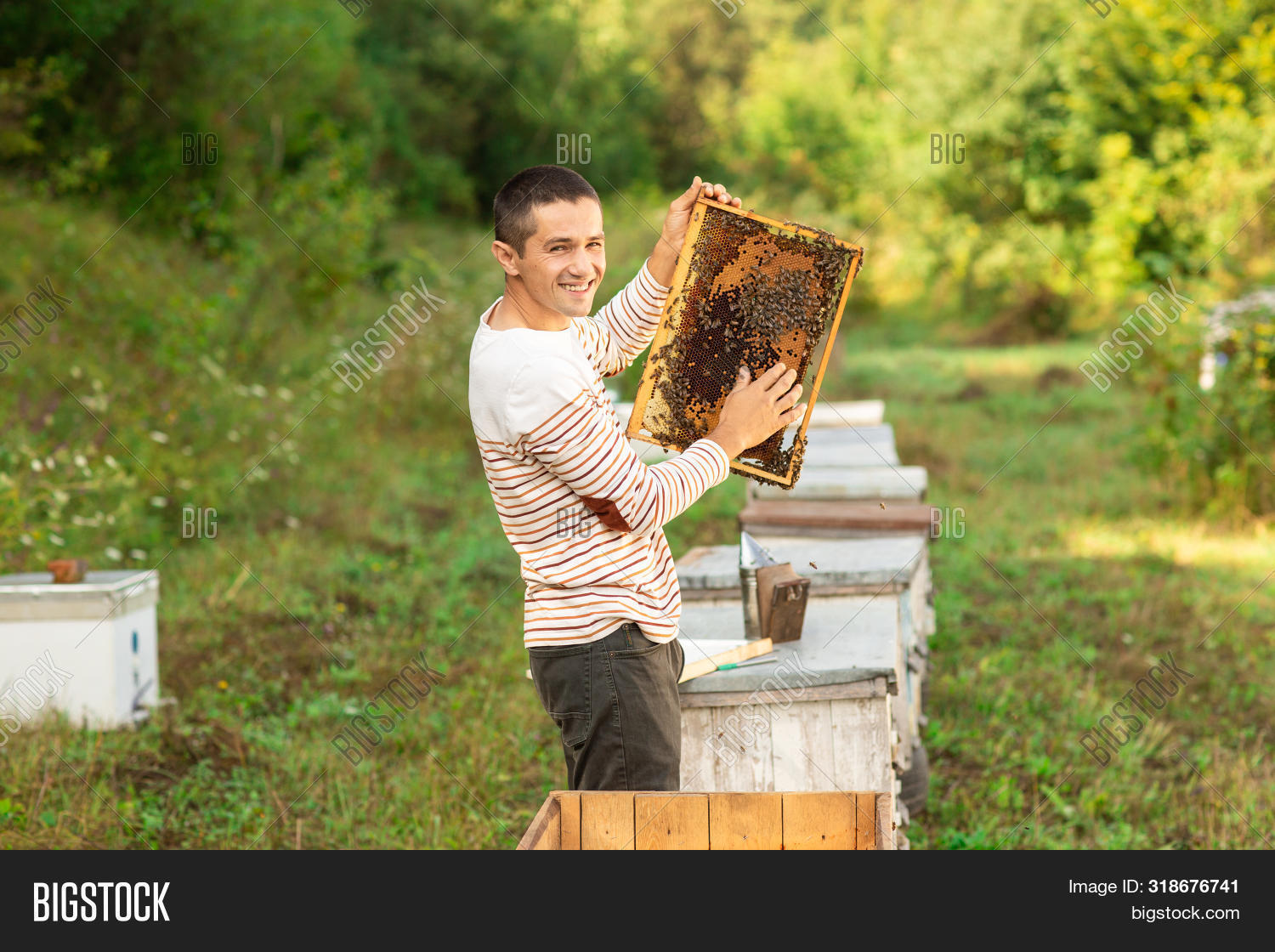 Beekeeper Holding Image & Photo (Free Trial) | Bigstock
