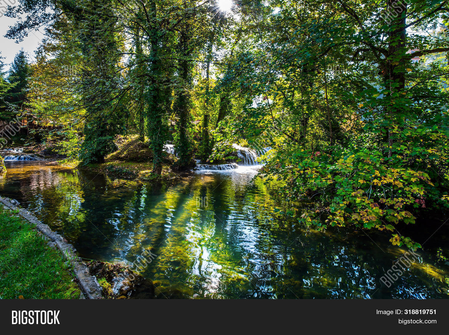 Calm Flow Forest River Image & Photo (Free Trial) | Bigstock