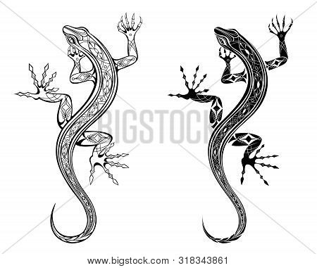Lizard Claw Images, Illustrations & Vectors (Free) - Bigstock