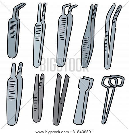 Vector Set Forceps Vector & Photo (Free Trial) | Bigstock