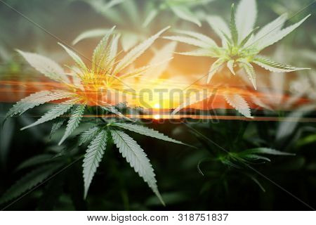 Beautiful Abstract Image & Photo (Free Trial) | Bigstock