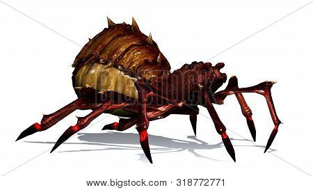 Fantasy Spider Shadow Image & Photo (Free Trial) | Bigstock