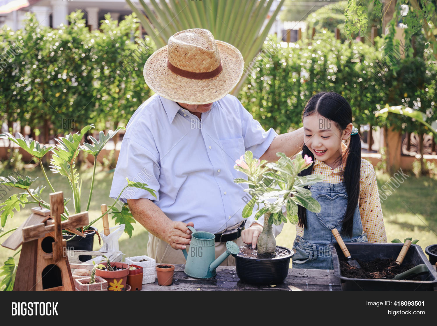 Asian Retirement Image & Photo (Free Trial) | Bigstock