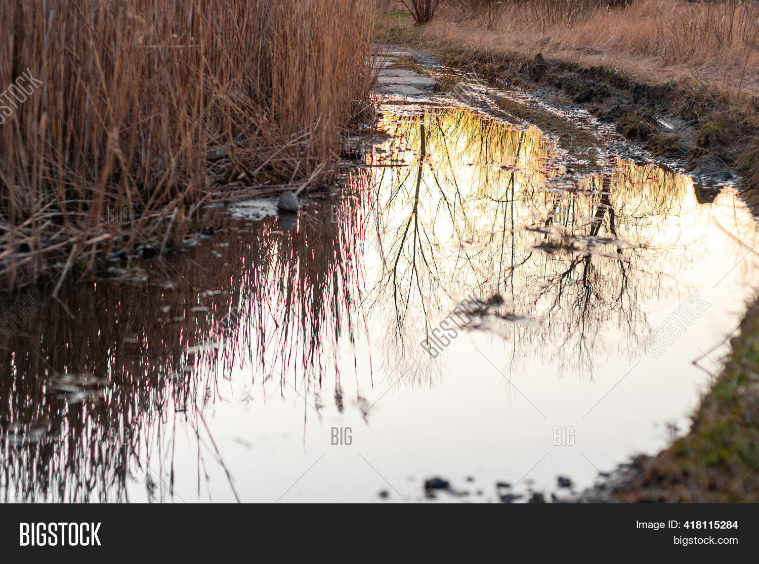 Reflection Sun Puddle Image & Photo (Free Trial) | Bigstock