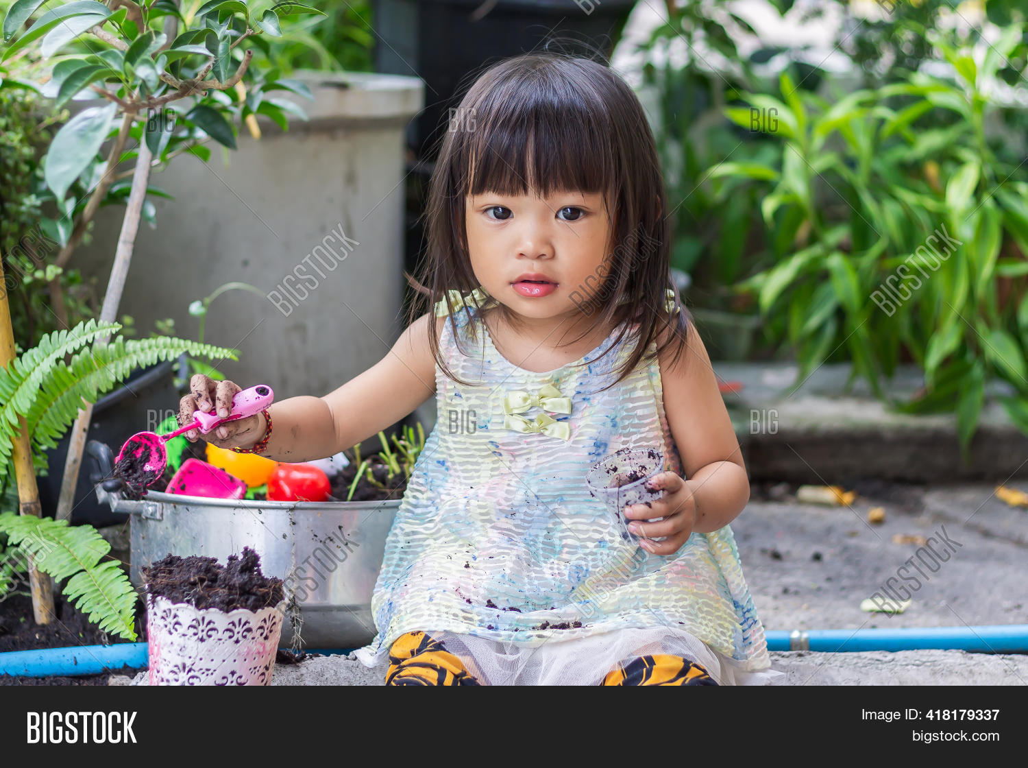 Selective Focus Image & Photo (Free Trial) | Bigstock