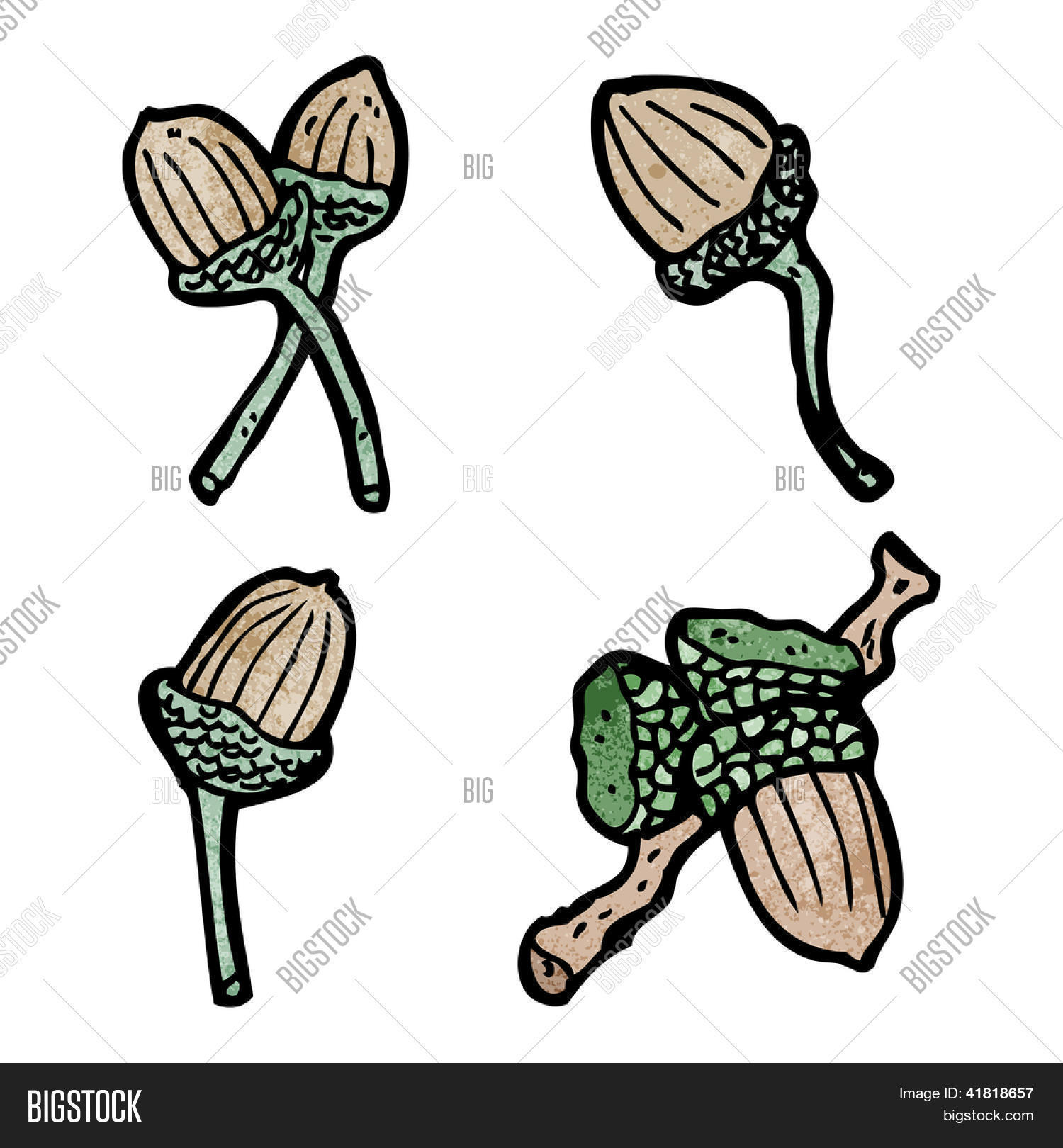 Cartoon Acorns Vector & Photo (Free Trial) | Bigstock