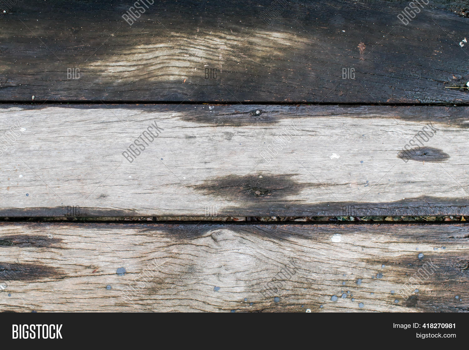 Wet Wood Texture. Old Image & Photo (Free Trial) | Bigstock