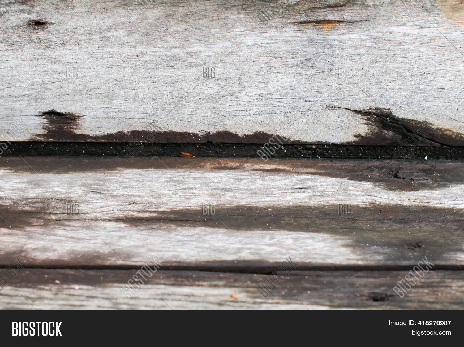 Wet Wood Texture. Old Image & Photo (Free Trial) | Bigstock