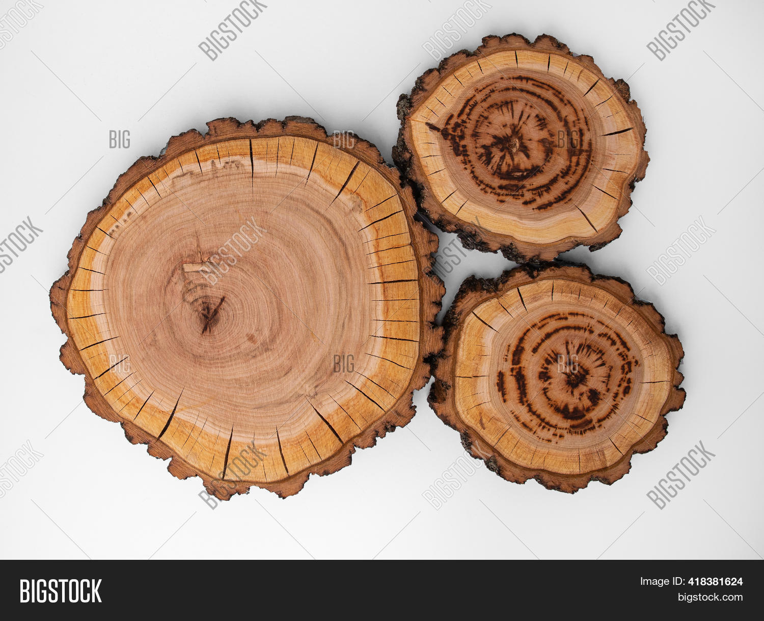 Large Round Piece Wood Image & Photo (Free Trial) | Bigstock