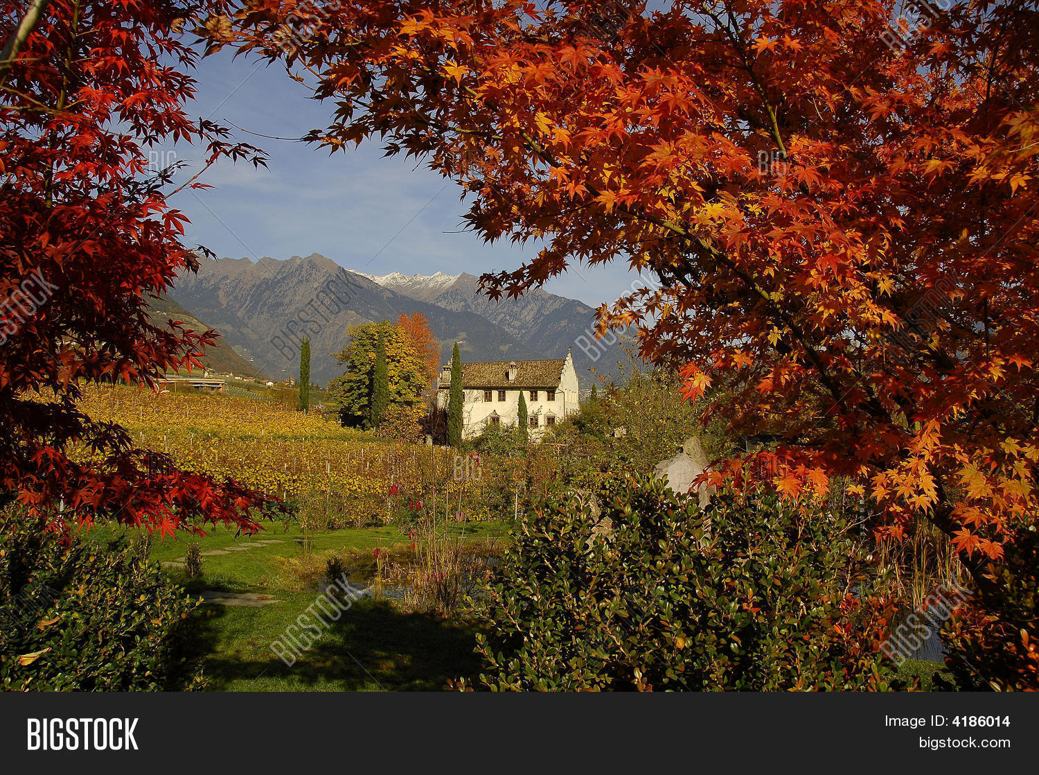 Old Maso Meran Image & Photo (Free Trial) | Bigstock