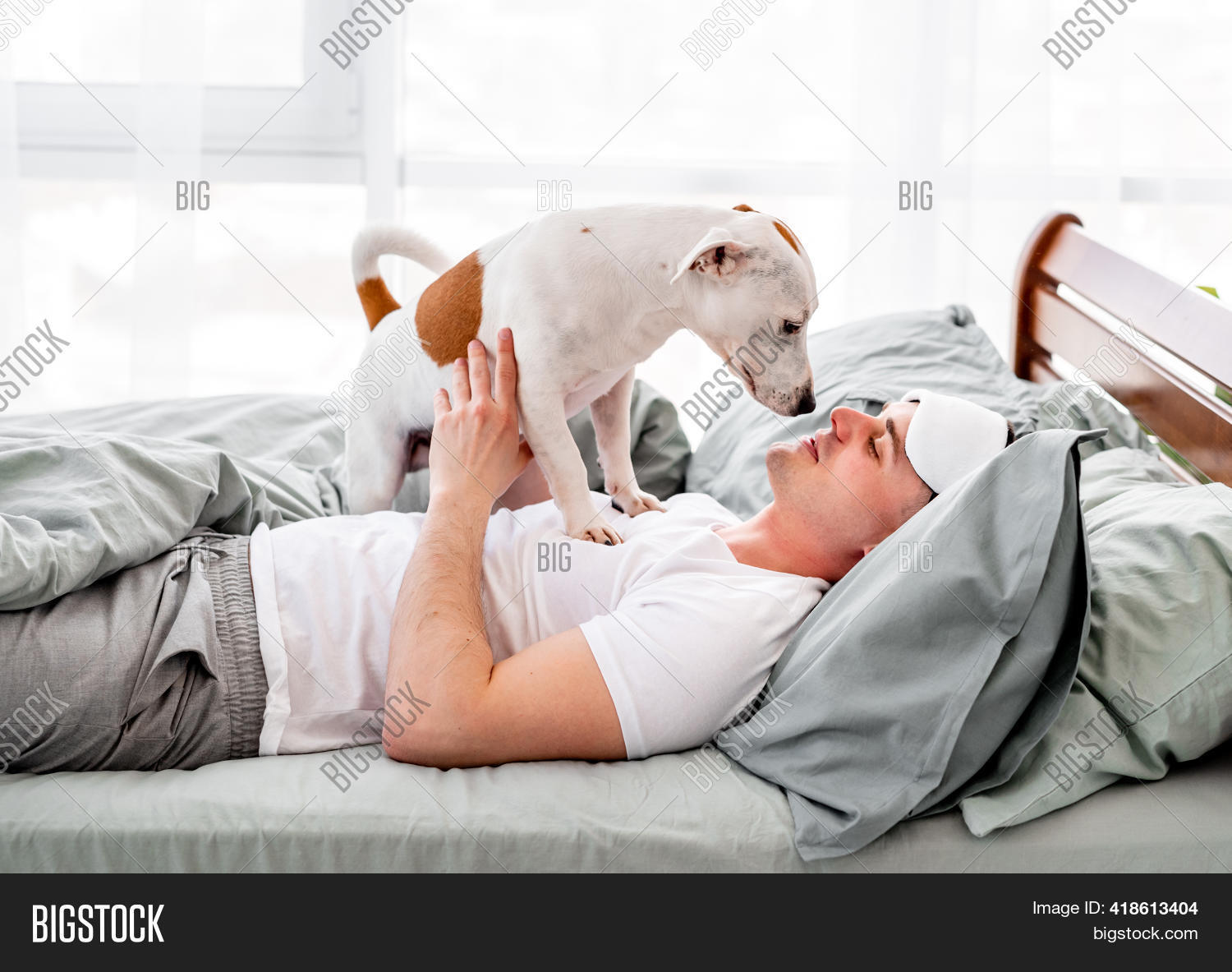 Man Playing Dog Bed Image & Photo (Free Trial) | Bigstock