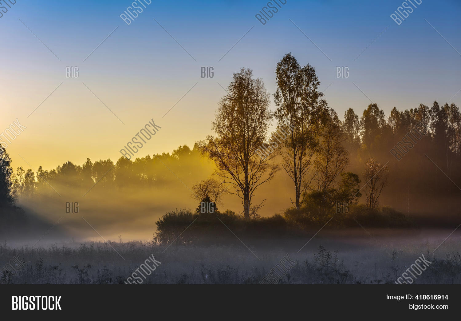 Autumn Fog Morning. Image & Photo (Free Trial) | Bigstock