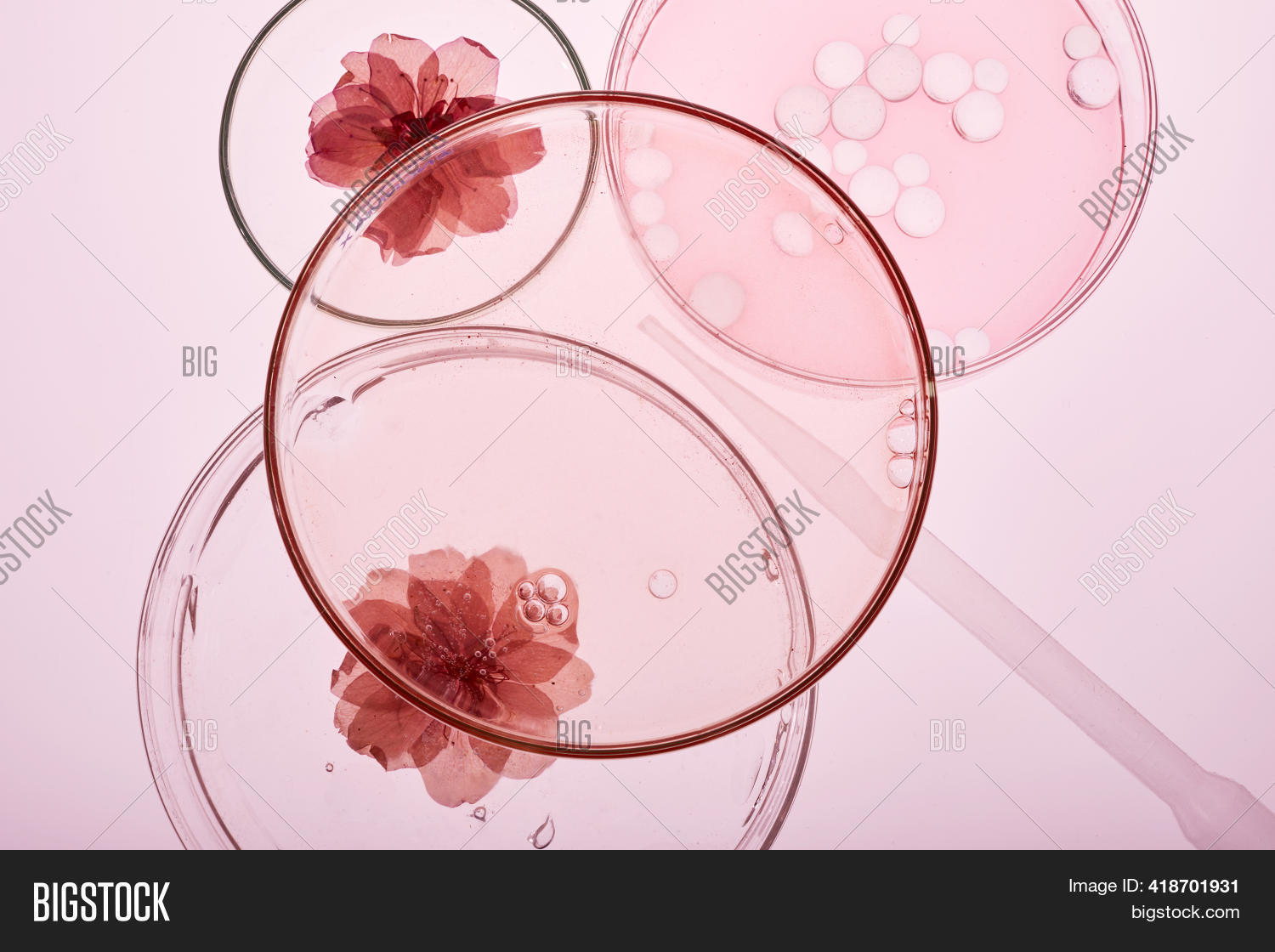 Abstract Cosmetic Image & Photo (Free Trial) | Bigstock