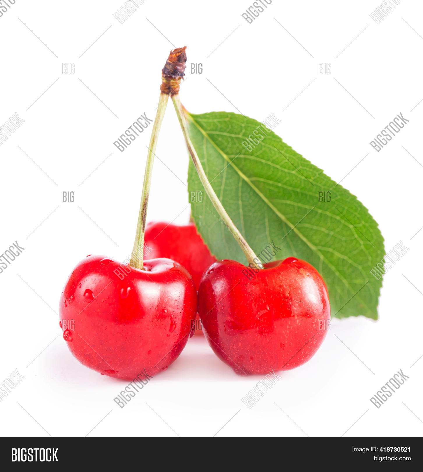 Ripe Fresh Red Cherry Image & Photo (Free Trial) | Bigstock