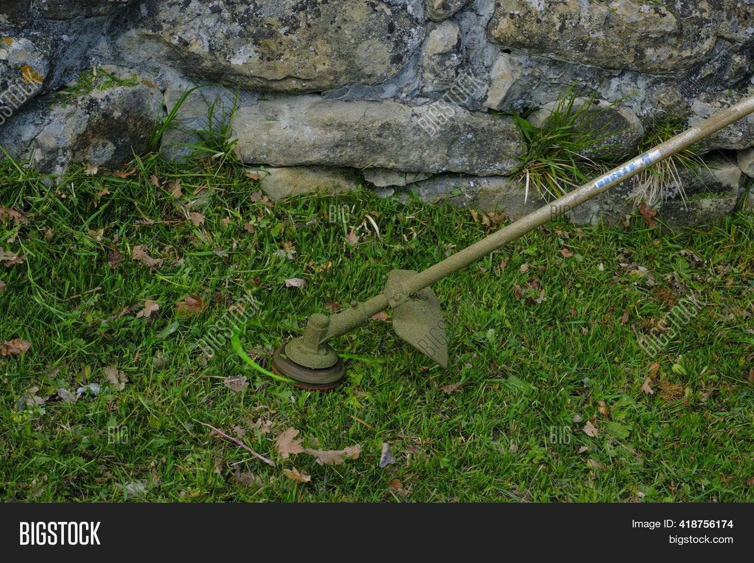 Green Grass Cutting Image & Photo (Free Trial) | Bigstock