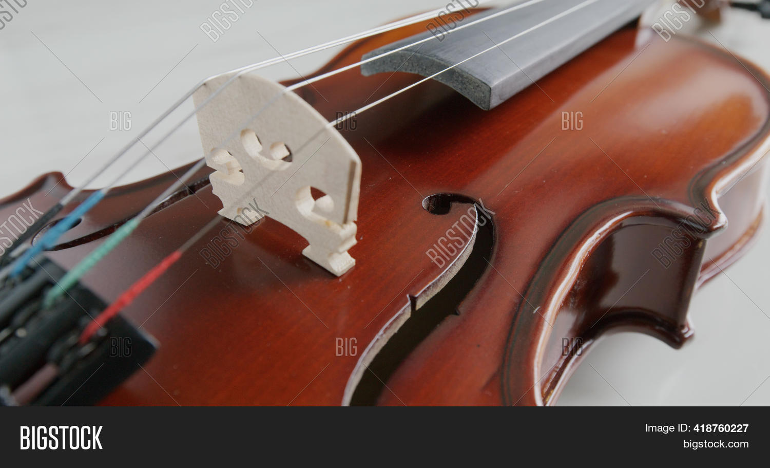 Violin String Bridge Image & Photo (Free Trial) | Bigstock