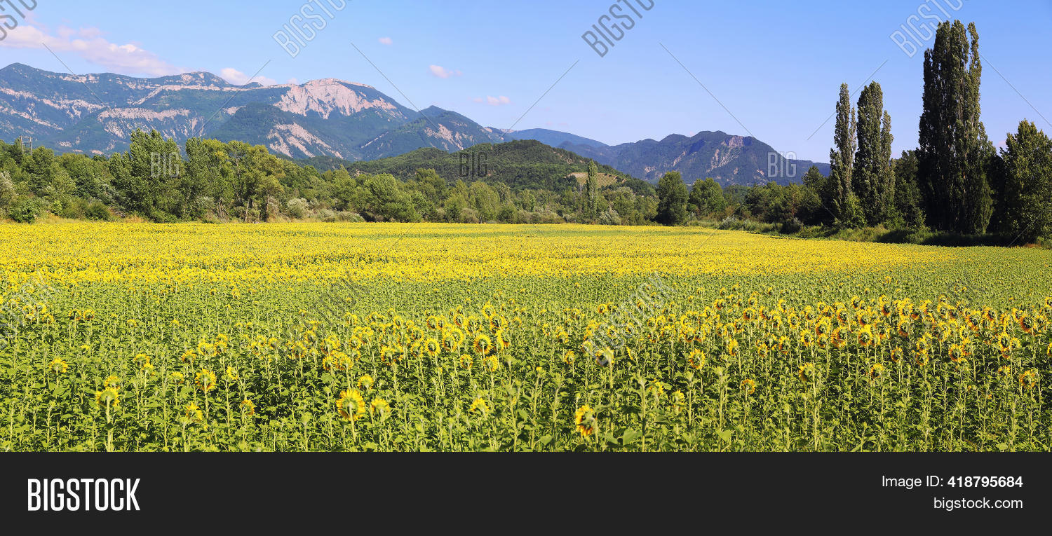 Summer French Image & Photo (Free Trial) | Bigstock