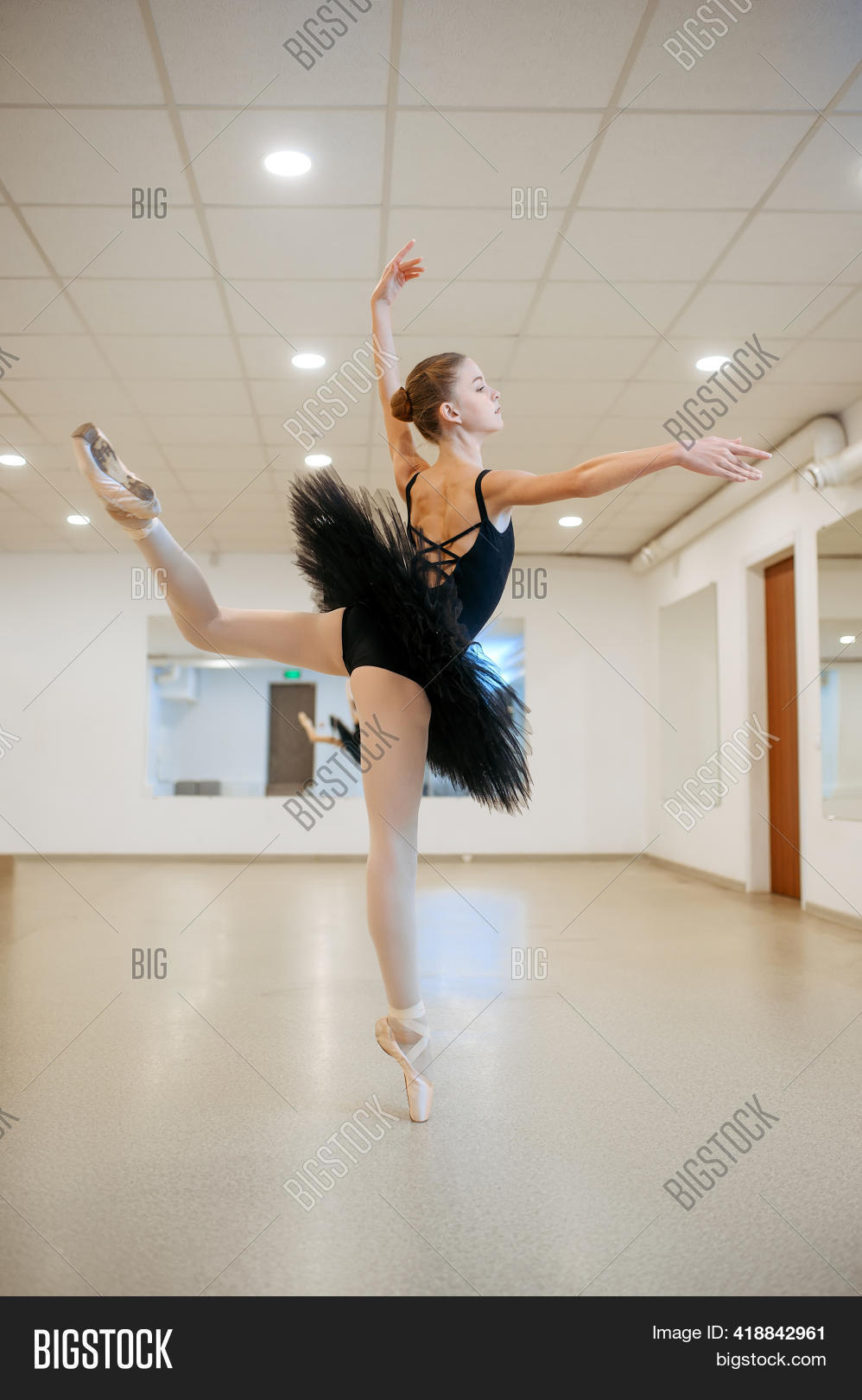Elegant Ballerina, Image & Photo (Free Trial) | Bigstock