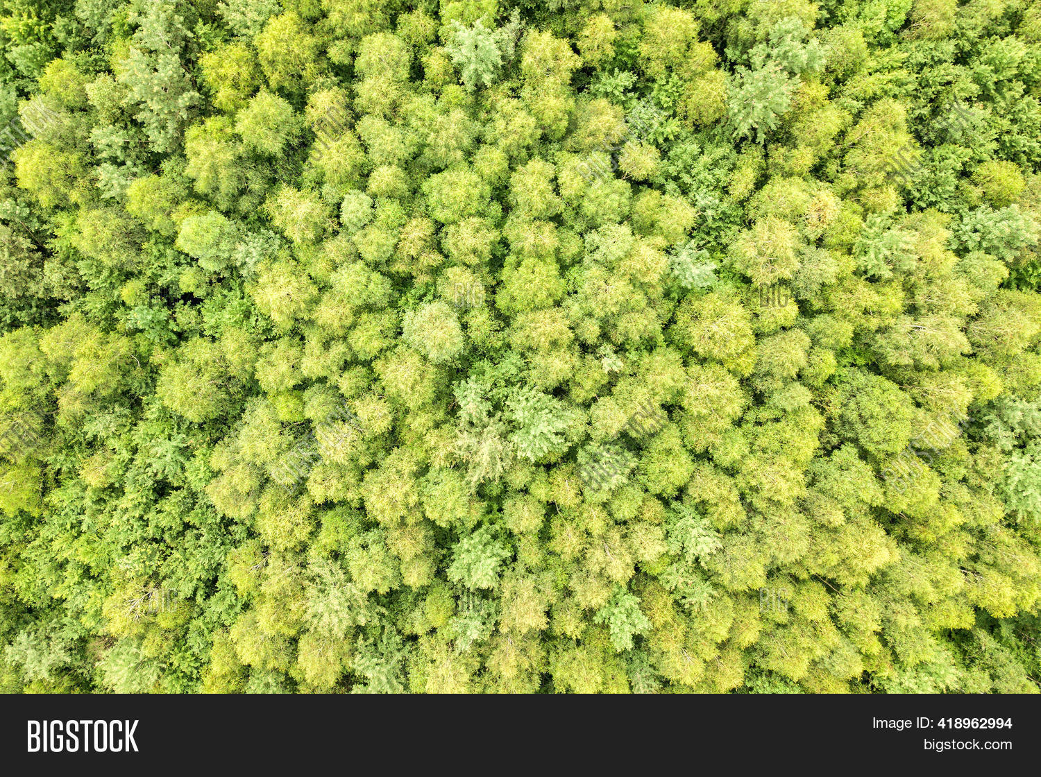 Top Down Aerial View Image & Photo (Free Trial) | Bigstock