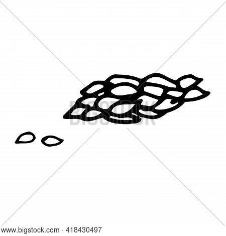Grain.contour Grain Vector & Photo (Free Trial) | Bigstock