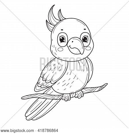 Cute Parrot Coloring Vector & Photo (Free Trial) | Bigstock