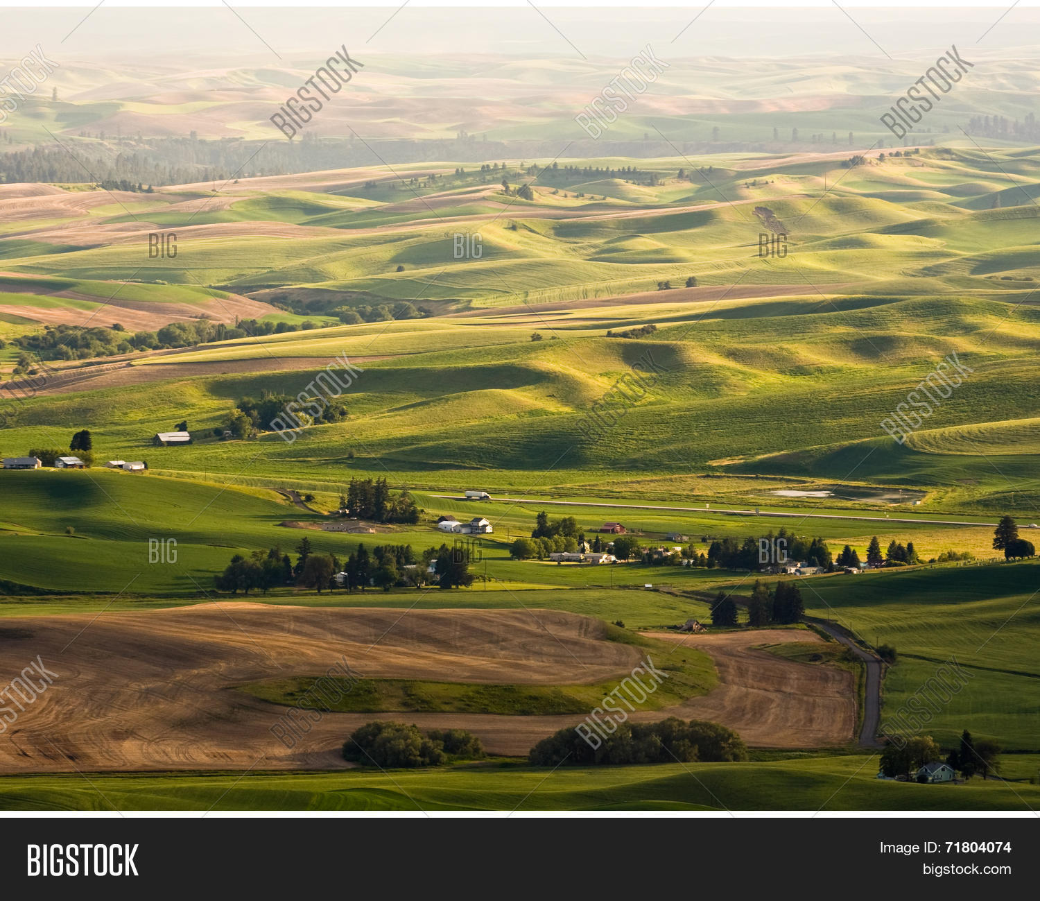 Palouse Wheat Fields Image & Photo (Free Trial) | Bigstock