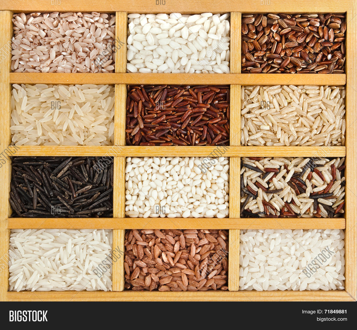 Variety Rice Grains ( Image & Photo (Free Trial) | Bigstock