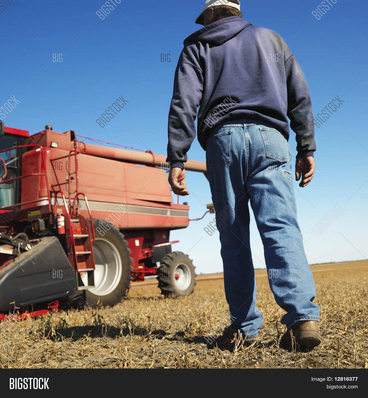 Low Angle Back View Image & Photo (Free Trial) | Bigstock