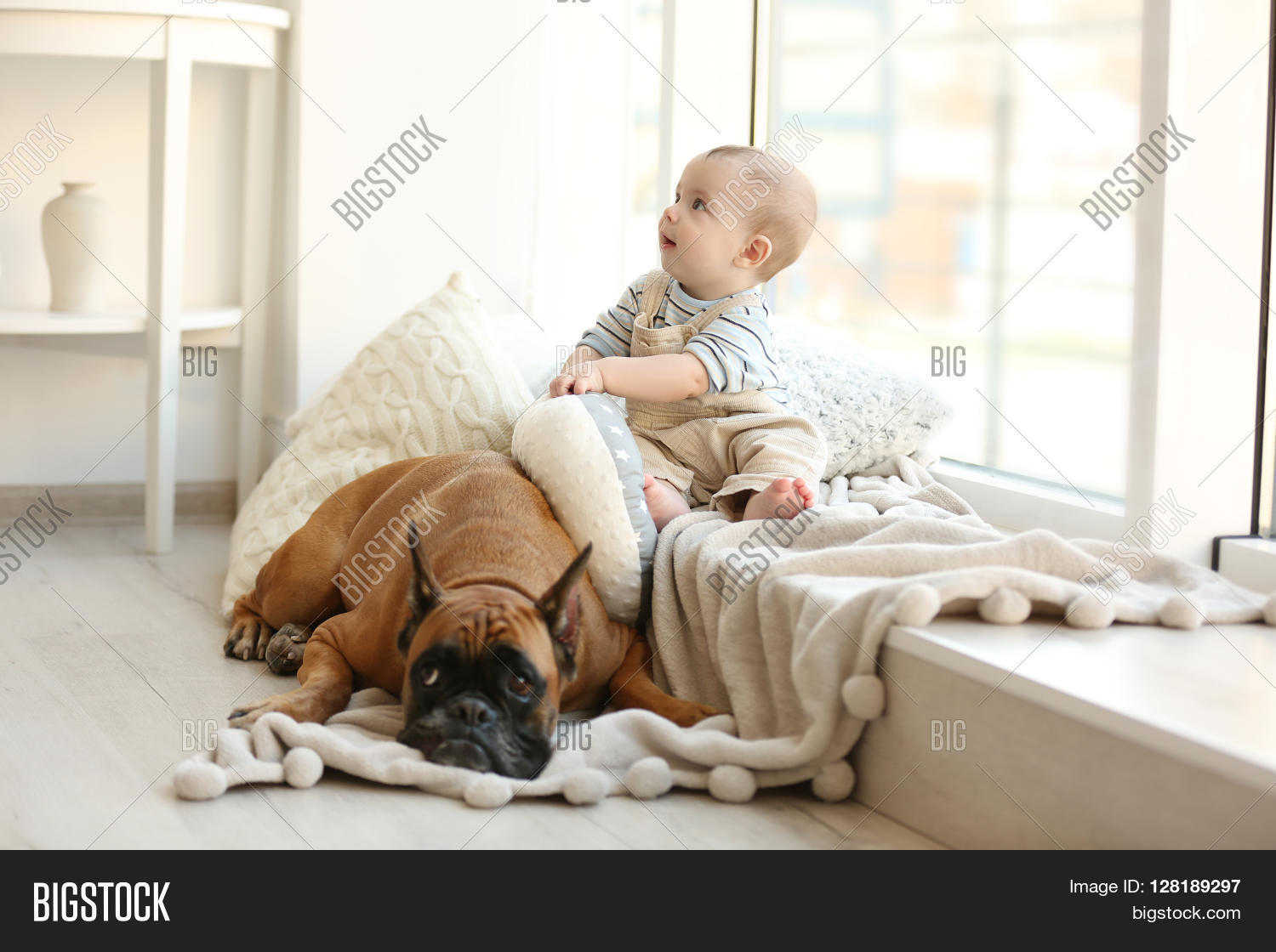 Little Baby Boy Boxer Image & Photo (Free Trial) | Bigstock