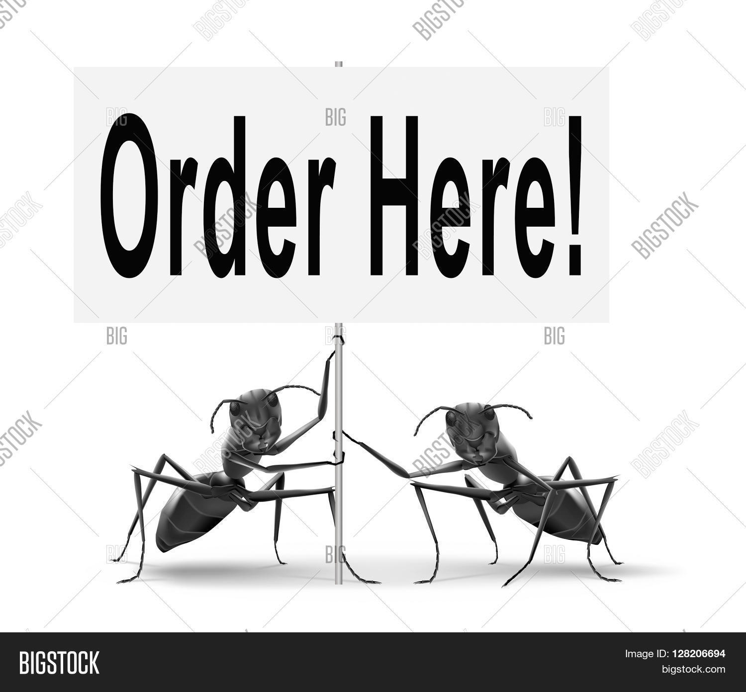 Order Here Button On Image & Photo (Free Trial) | Bigstock