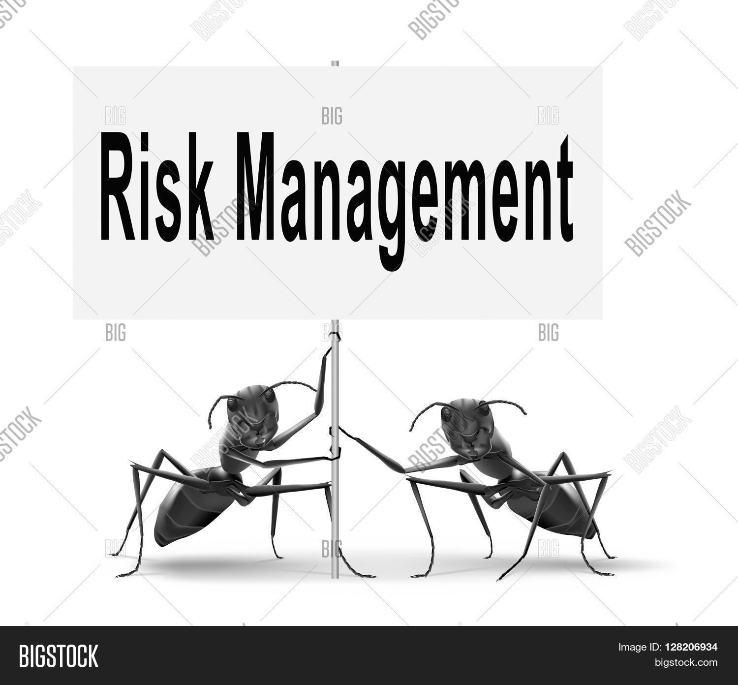 Risk Management Image & Photo (Free Trial) | Bigstock
