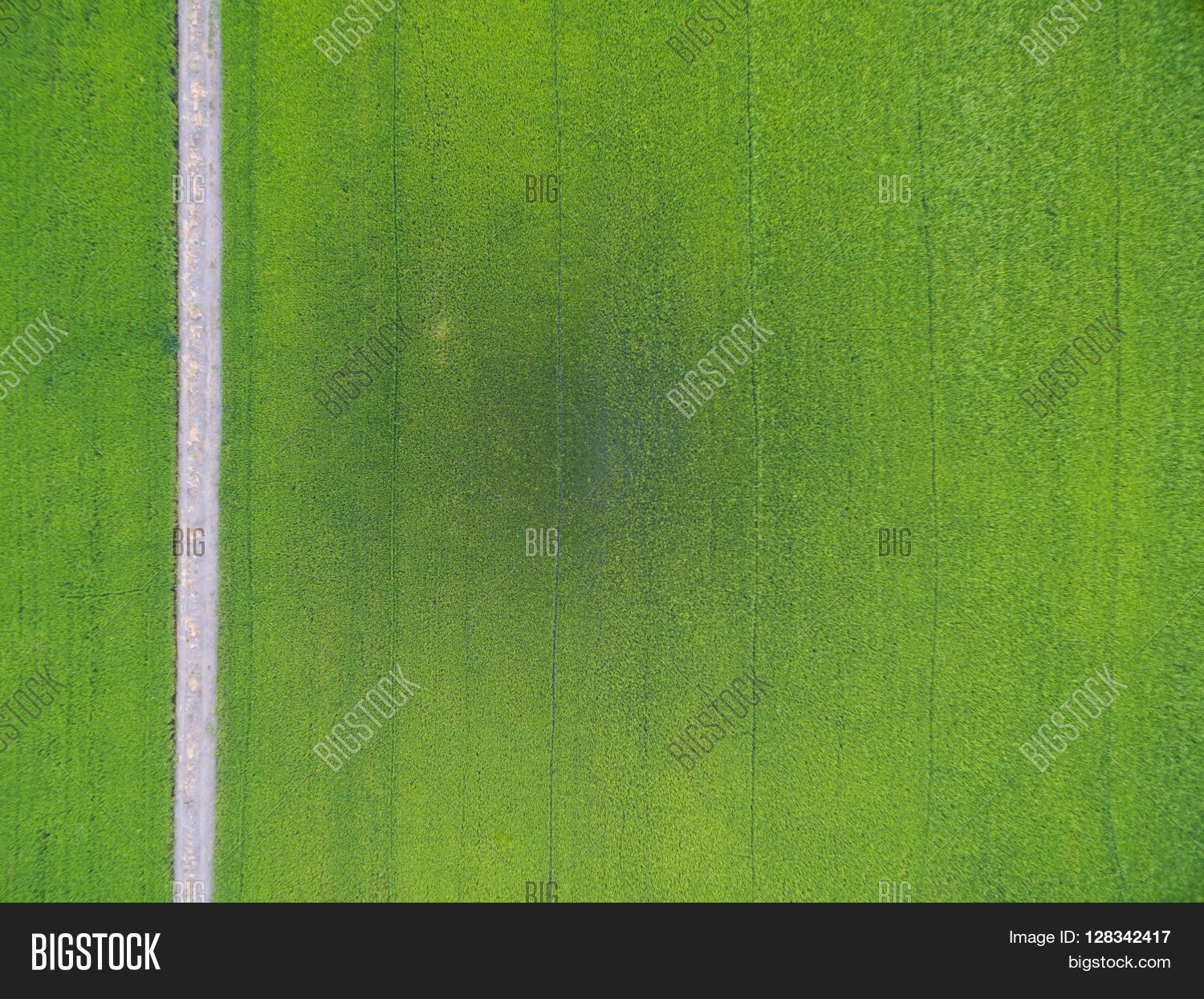 Aerial View Rice, Image & Photo (Free Trial) | Bigstock