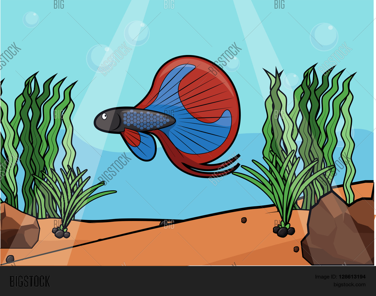 Fight Fish Underwater Vector & Photo (Free Trial) | Bigstock