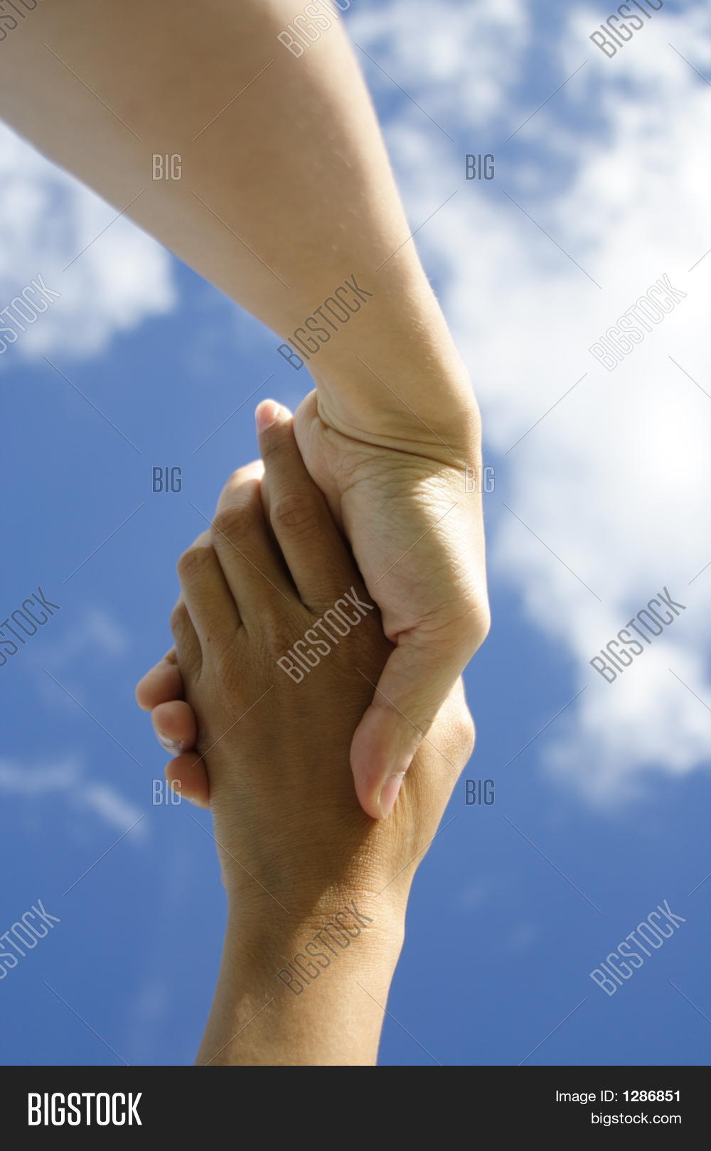 Hands Holding Image & Photo (Free Trial) | Bigstock