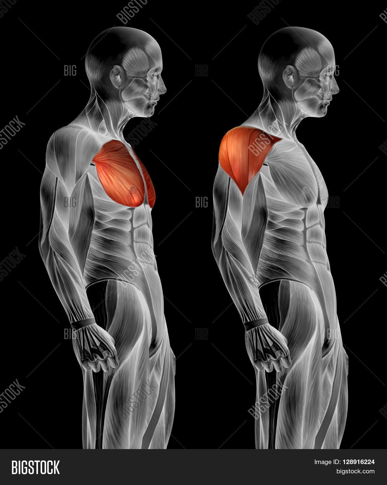 Concept Conceptual 3D Image & Photo (Free Trial) | Bigstock