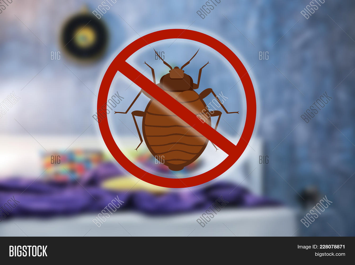 Stop Bug Sign Clean Image & Photo (Free Trial) | Bigstock