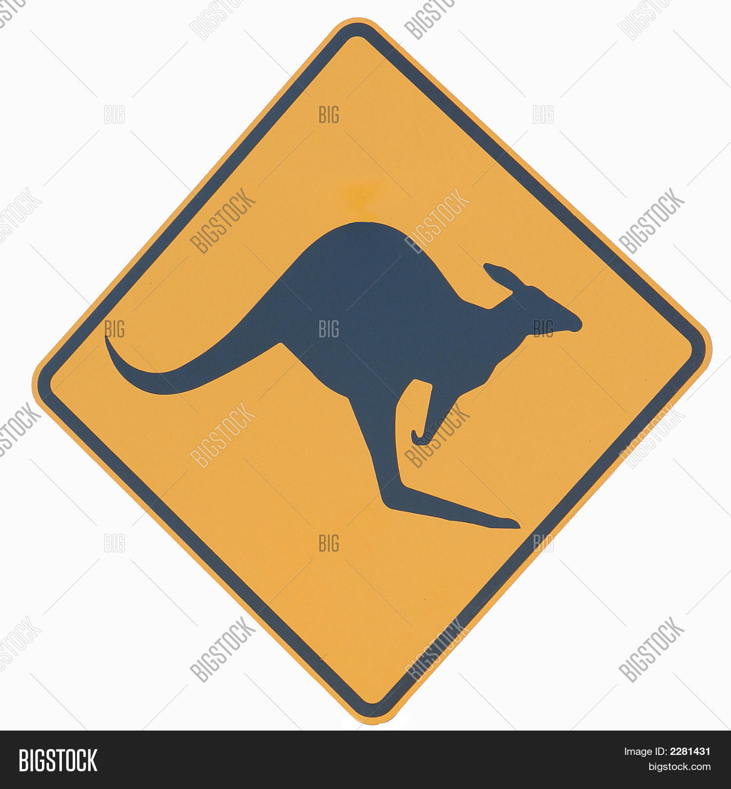 Australian Kangaroo Image & Photo (Free Trial) | Bigstock