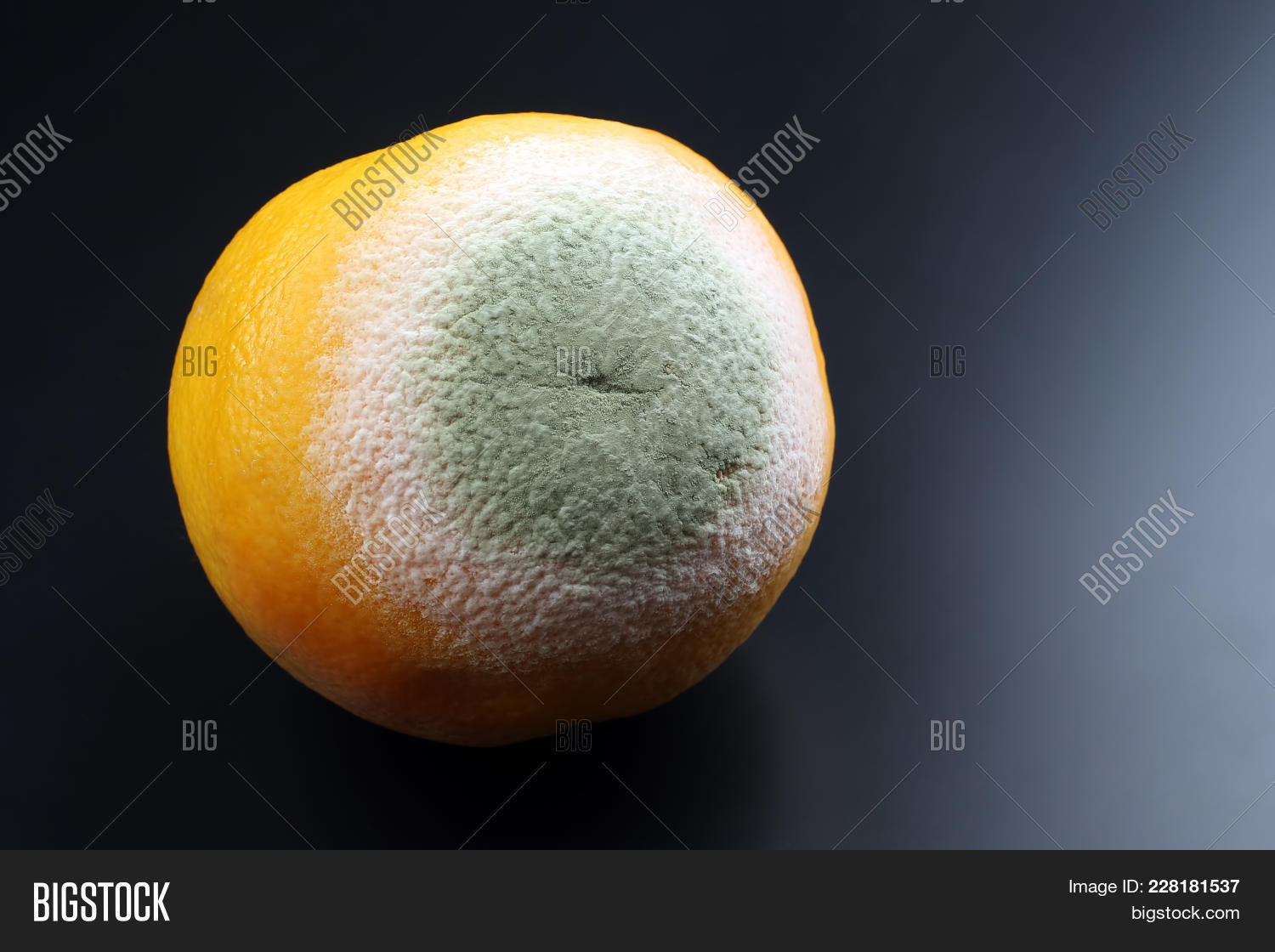 Rotting Grapefruit On Image & Photo (Free Trial) | Bigstock