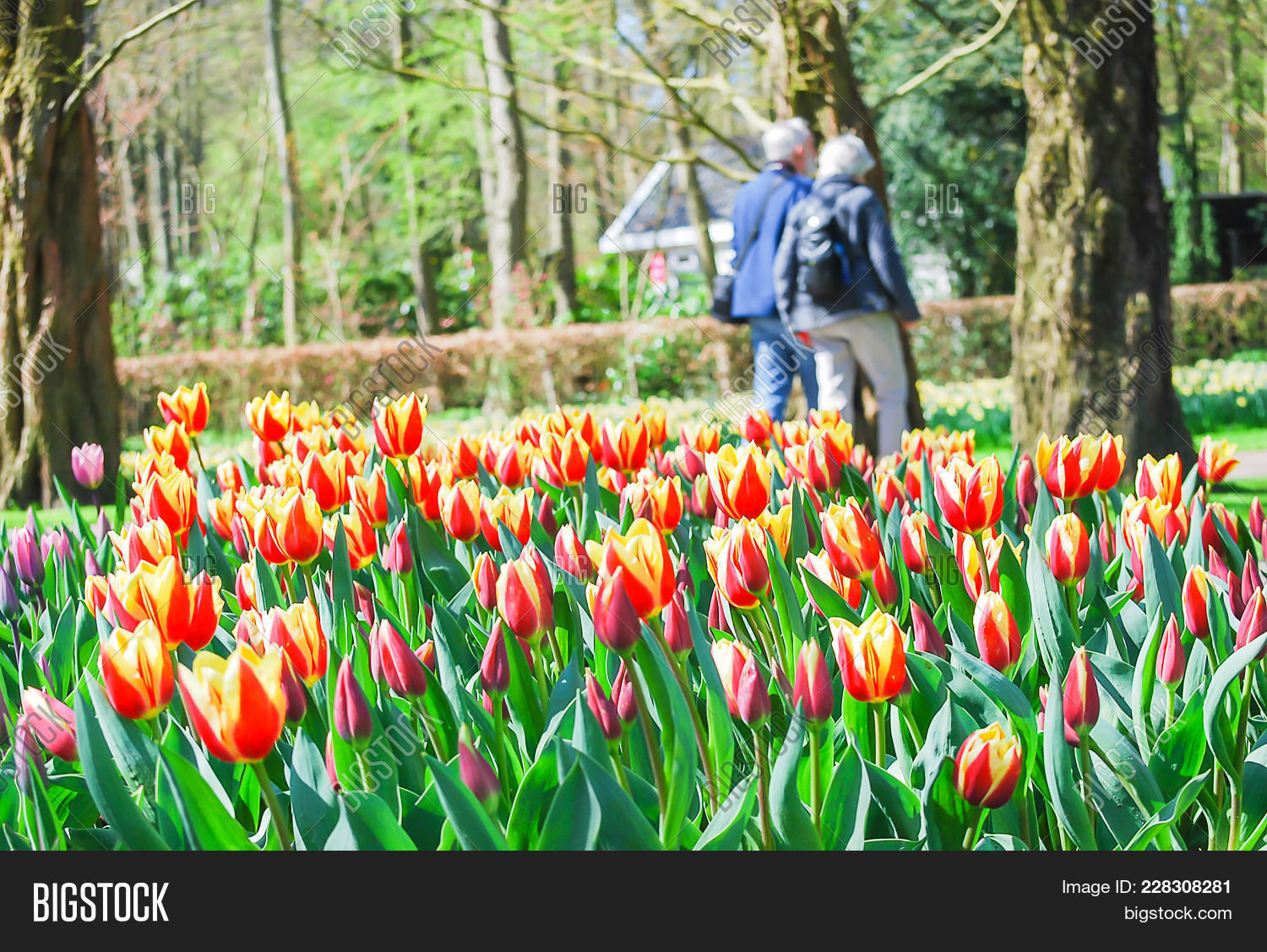 Beautiful Spring Green Image & Photo (Free Trial) | Bigstock